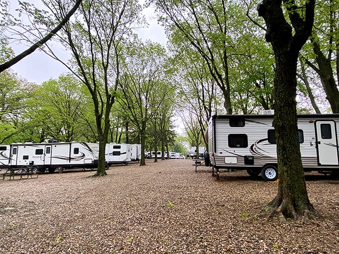 Swan Lake State Park's campground offers tree-shaded serenity for RV enthusiasts. Nothing says "affordable vacation" like waking up to birdsong instead of hotel wake-up calls.