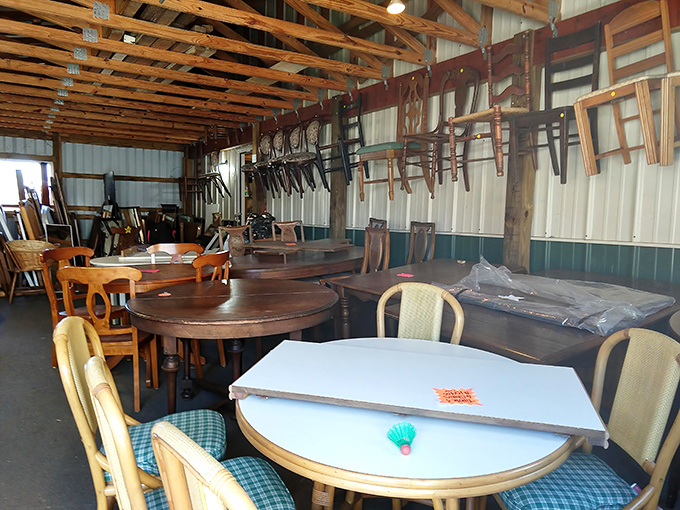 The furniture warehouse feels like a time-travel portal where dining sets from different decades wait patiently for their second act.