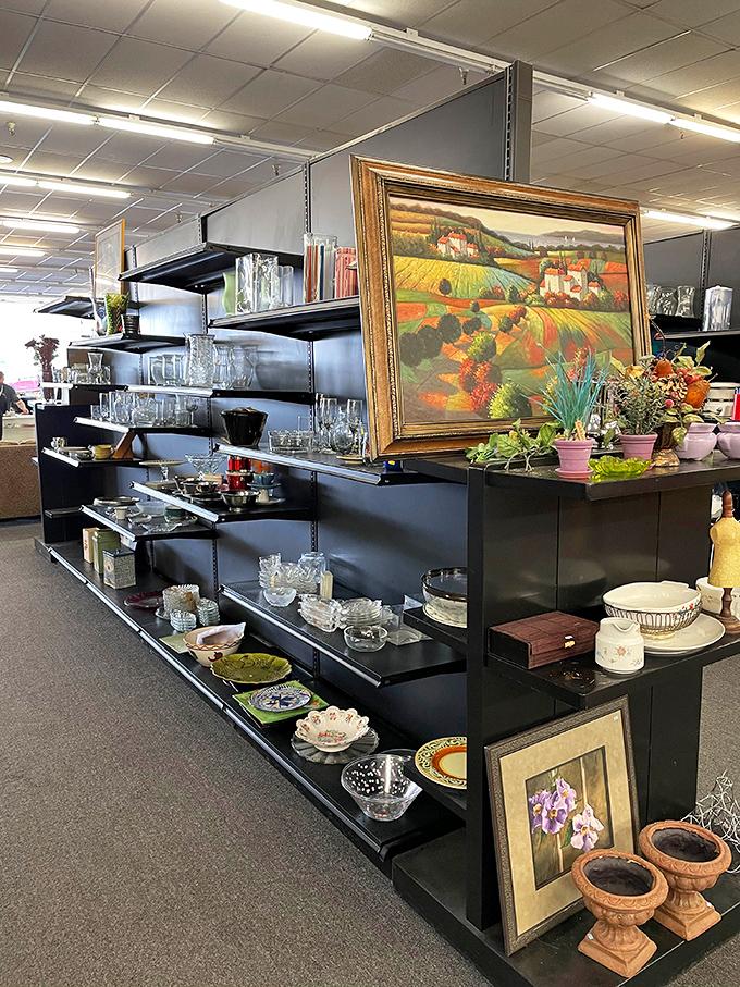 Modern shelving meets vintage treasures in a display that would make any department store jealous of this organization.