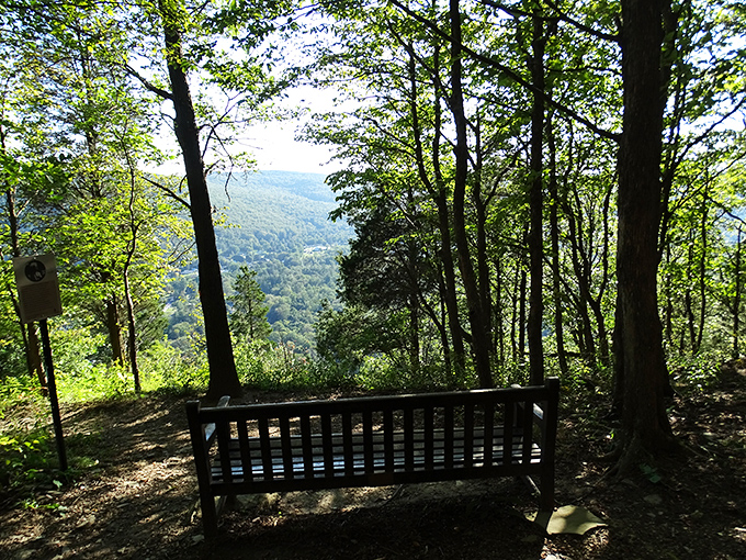 Nature's therapy session costs exactly zero dollars here. This bench offers million-dollar views that actually leave money in your retirement account.