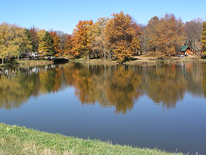 Autumn at Timber Lake proves Illinois does fall colors better than we give ourselves credit for, reflecting perfectly like nature's mirror.