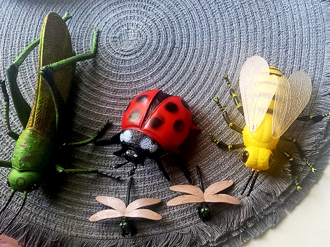 Not your average yard sale finds! These colorful critters might just be the conversation starter your garden or office desk desperately needs.