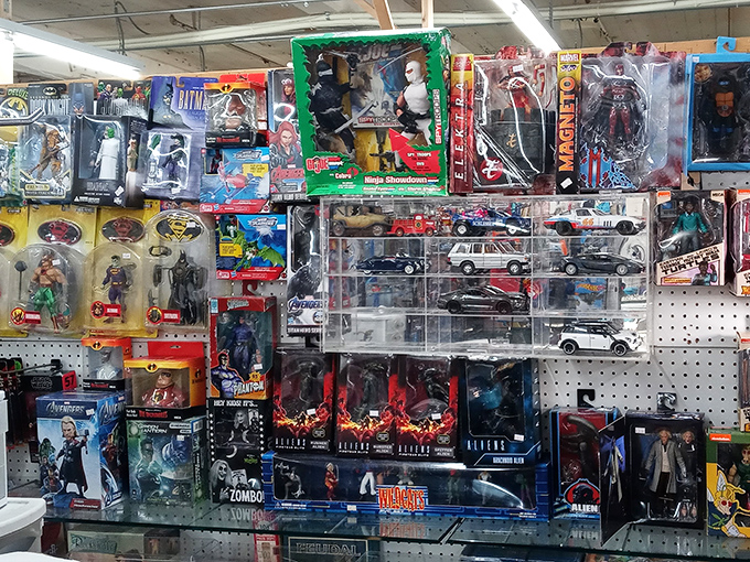 Action figure heaven! Where childhood heroes never age and mint-condition collectibles make grown adults calculate their retirement fund reallocation possibilities.