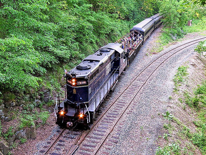 All aboard the time machine! The locomotive carves its path through Pennsylvania's lush wilderness, carrying passengers and nostalgia in equal measure.