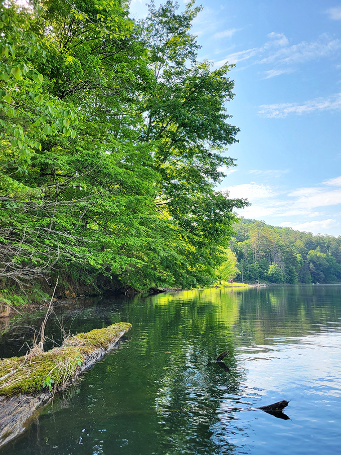 Mother Nature showing off again with her perfect reflection game. Even the trees seem to be admiring themselves in Lake Hope's crystal mirror.