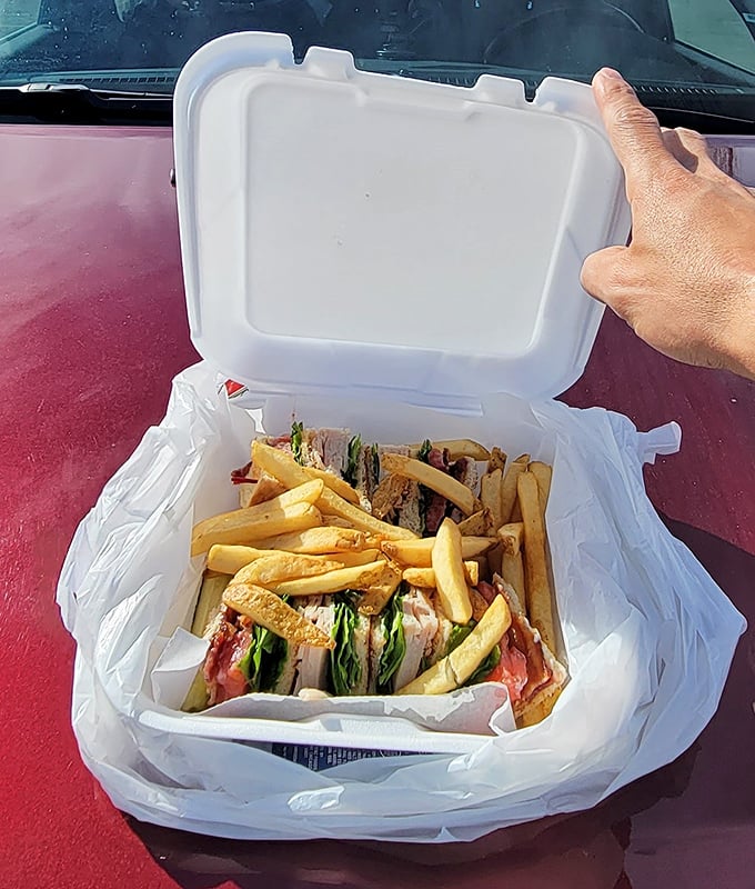 Road trip perfection in a takeout box&mdash;this turkey club sandwich and fries combo is the kind of portable feast that makes dashboard dining feel downright civilized.