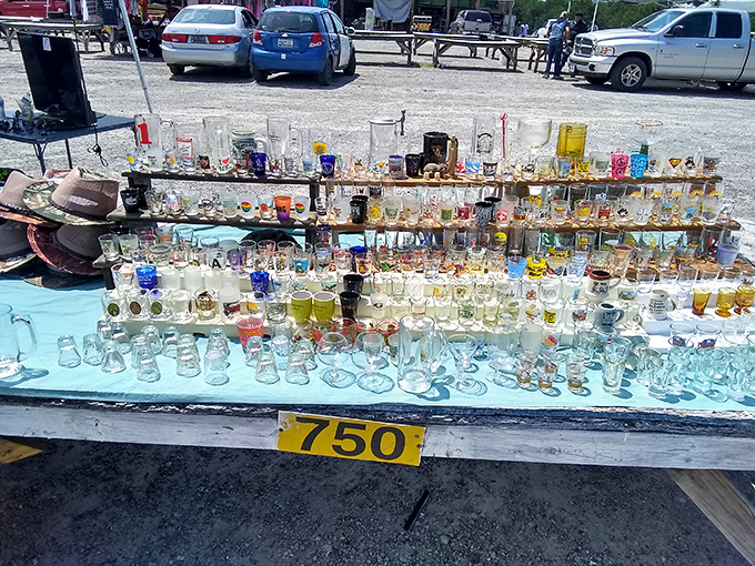 A collector's paradise of shot glasses and vintage glassware, each tiny vessel holding memories of places visited or celebrations long past.