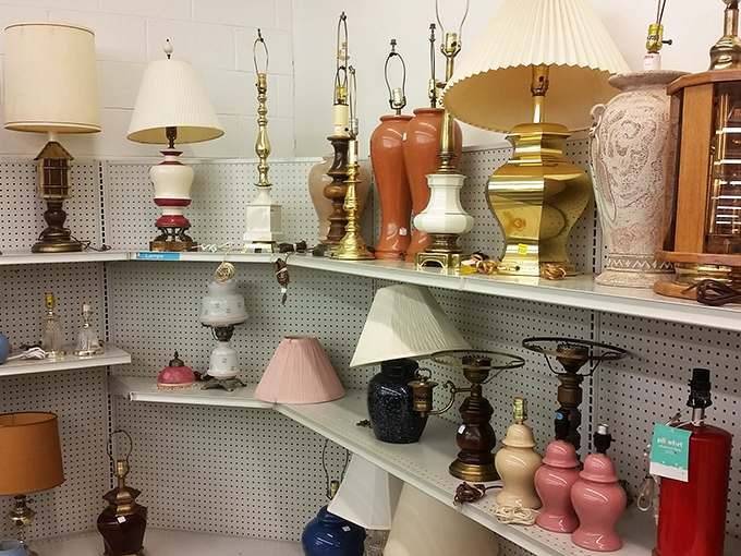 The lamp section glows with potential. From mid-century modern to "what decade was that?" these lights have illuminated countless family dinners and late-night reading sessions.