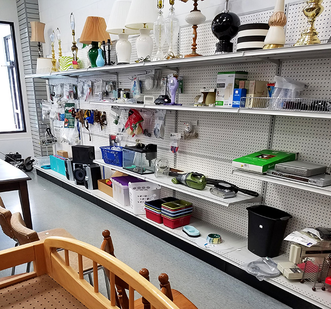 Household gadgets galore! From vintage lamps to kitchen tools, this wall of possibilities makes you rethink what "shopping" really means.