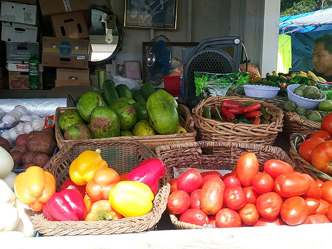Nature's color palette on full display. These farm-fresh peppers and tomatoes haven't spent two weeks in a refrigerated truck&mdash;and your taste buds will know the difference.