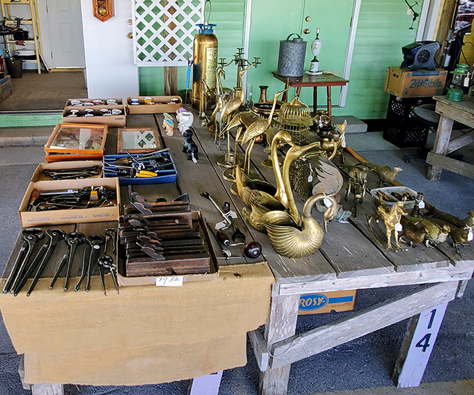 Brass menageries and vintage tools share space on weathered tables—objects that have outlived their original owners but not their usefulness.