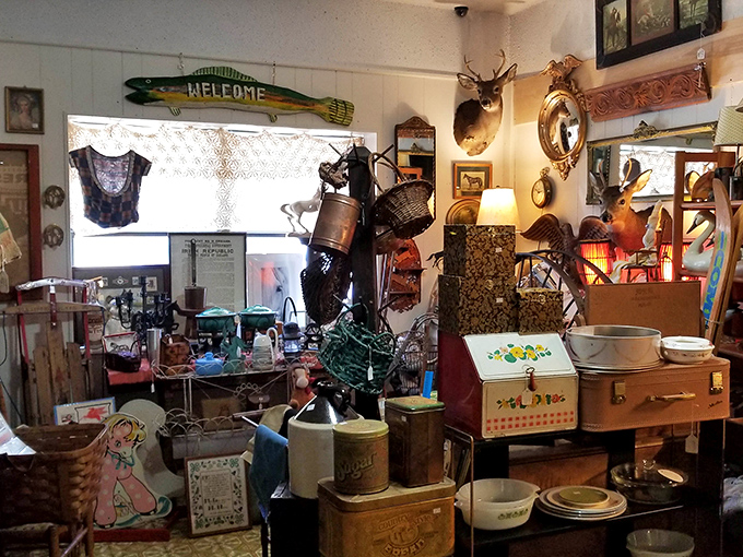 Where taxidermy meets nostalgia in perfect harmony. That deer has witnessed decades of bargain hunters passing through these aisles.