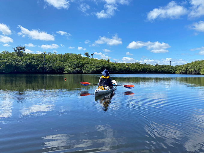 Gliding through mirror-like waters, this kayaker experiences Florida's wilderness from the best seat in the house&mdash;no reservations required.