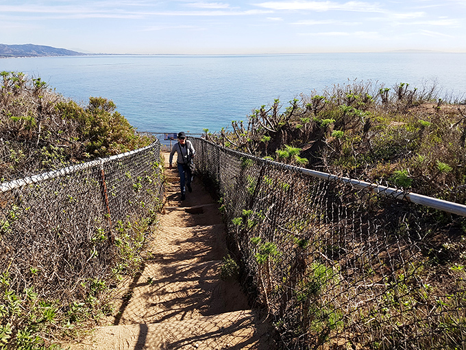 The trail to paradise is fenced but welcoming, guiding visitors down to views that make smartphone cameras work overtime and social media followers green with envy.