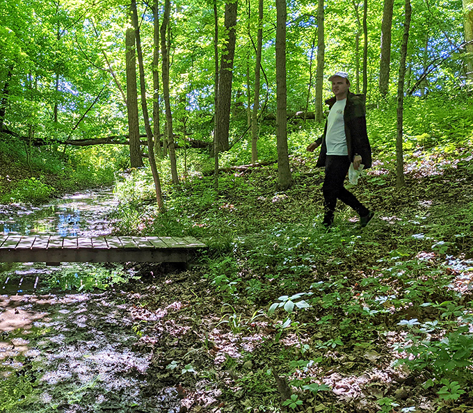 Woodland boardwalks lead to discoveries that GPS can't navigate &ndash; pure analog exploration.