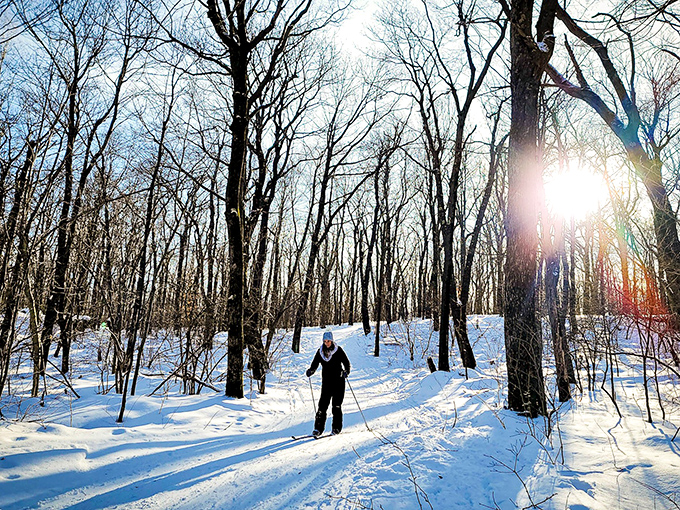 Winter transforms ordinary trails into magical pathways. This cross-country skier isn't just exercising &ndash; they're starring in their own snow globe.