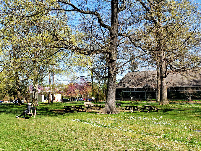 Picnic tables scattered beneath ancient trees offer front-row seats to nature's theater—no tickets required, just bring sandwiches.