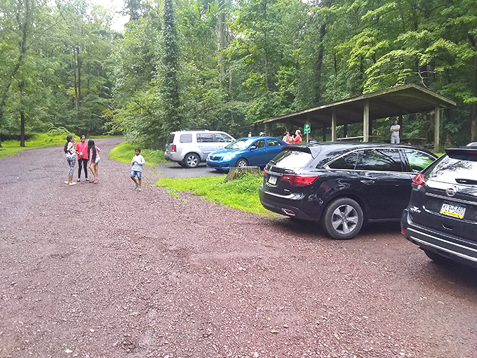 Weekend warriors and nature enthusiasts gather at the trailhead. That parking lot moment when everyone's thinking, "Did I bring enough snacks?"