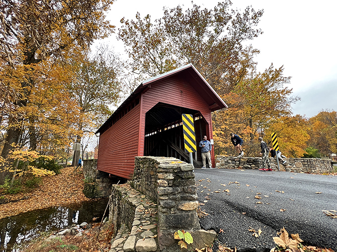 "Did we just step into a calendar photo?" Visitors can't help but pause at this picture-perfect spot where memories practically make themselves.