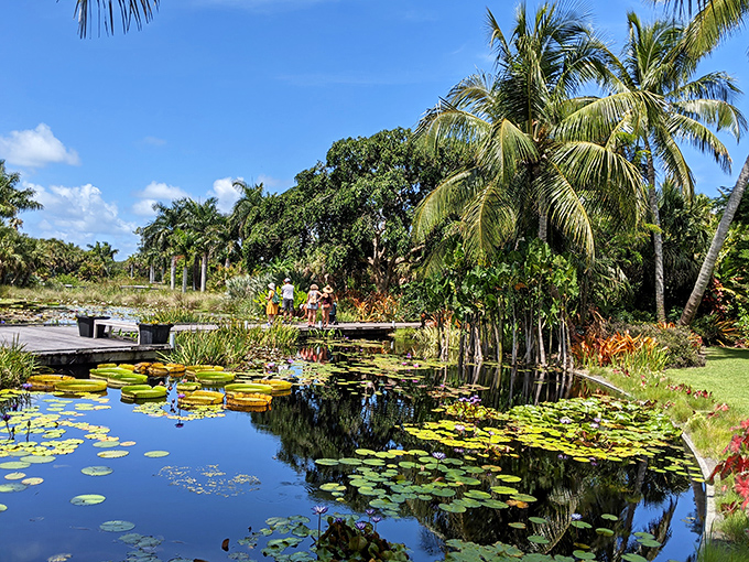 Tropical tranquility in action. Visitors enjoy the serene water garden where Florida's natural beauty is on full display, complete with lily pads and palm reflections.