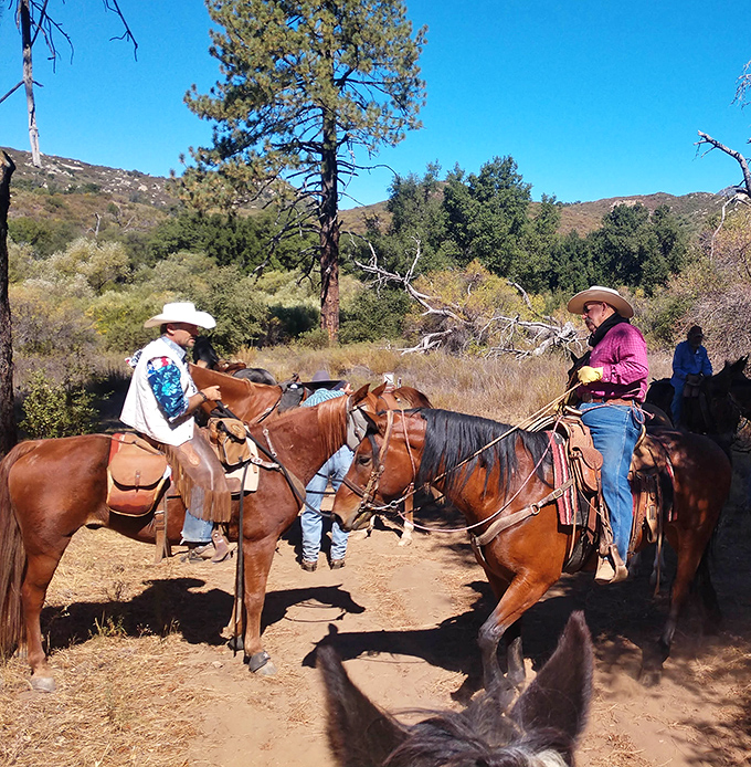Horseback riding at Cuyamaca: where "horsepower" takes on its original meaning and trail conversations happen at nature's perfect pace.