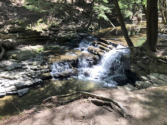 A modest waterfall that doesn't need to show off&mdash;it's the natural world's version of comfort food, simple and deeply satisfying.