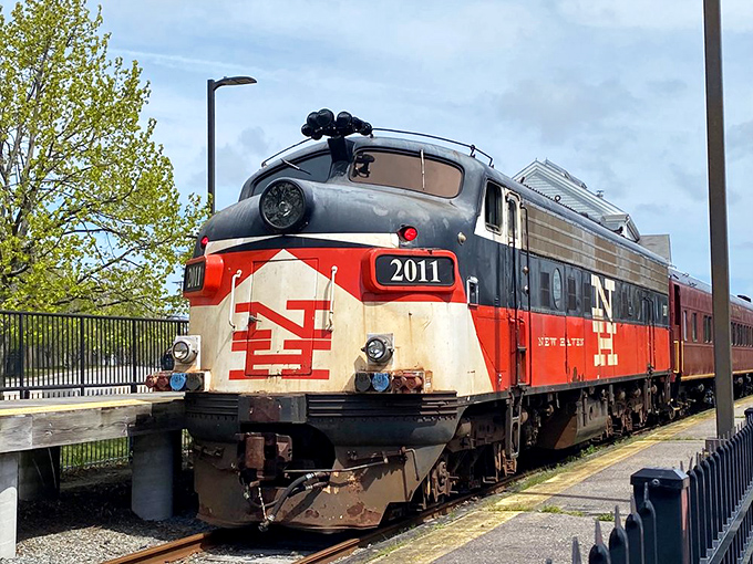 This isn't just any locomotive—it's a time machine with wheels. The meticulously maintained New Haven Railroad #2011 stands proud, ready to transport passengers through both space and decades.