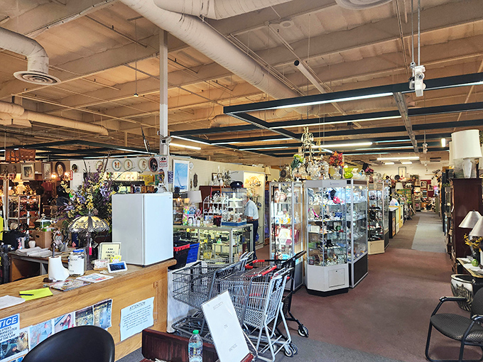 Shopping carts stand ready for treasure hunters. In Vegas, some jackpots come in the form of vintage finds, not casino chips.