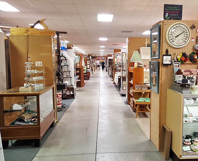 The antique hunter's natural habitat: rows of display cases where time stands still and yesterday's ordinary becomes today's extraordinary.