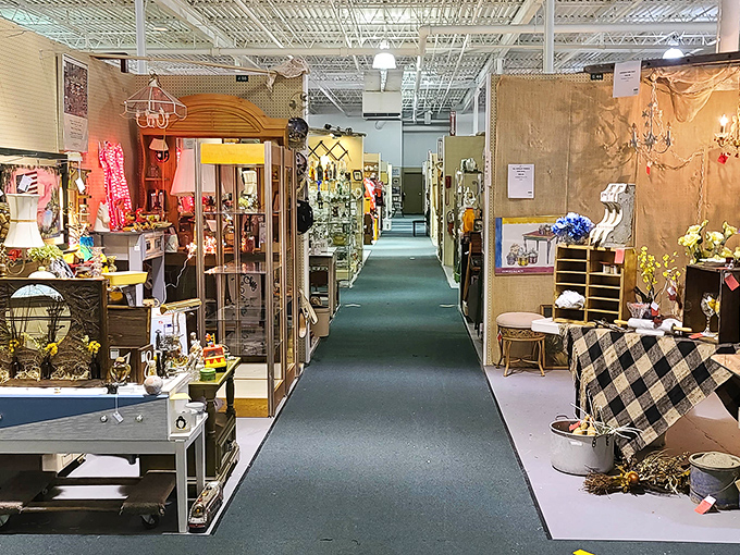 Vendor booths create a neighborhood of nostalgia, where yesterday's ordinary becomes today's extraordinary. The thrill of the hunt is real.