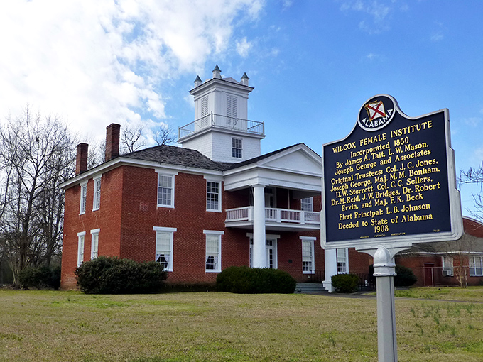 The Wilcox Historical Society preserves local heritage in this stately building, proving culture doesn't require Manhattan zip codes or admission fees.