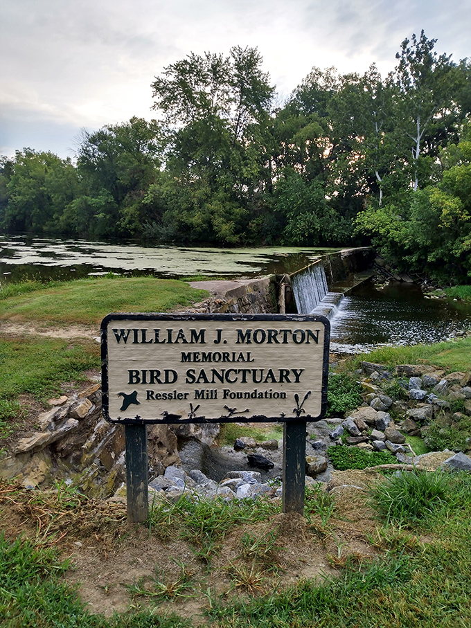 Nature and heritage blend seamlessly at the William J. Morton Bird Sanctuary, where the gentle sound of falling water creates a peaceful retreat.