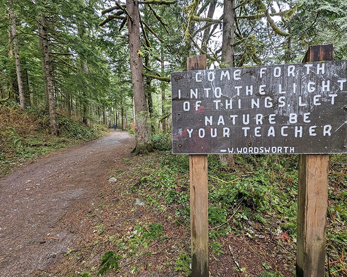 "Come forth into the light of things," urges Wordsworth's trail wisdom. Who knew poetry could double as hiking advice?