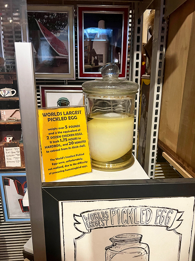 Behold the World's Largest Pickled Egg! Weighing over five pounds, this preserved poultry product required 175 hours to extract from its shell. Deviled eggs, anyone?