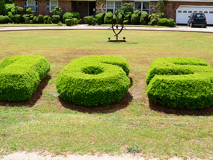 LOVE spelled out in living letters. When most people express themselves with words, Pearl Fryar does it with shrubs that require decades of patient pruning.