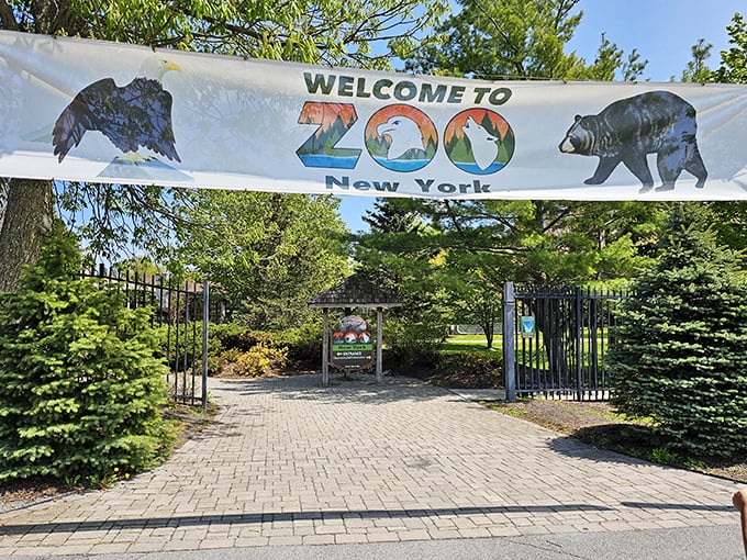 The welcoming entrance to Zoo New York feels like stepping into a storybook, where conservation meets education in the heart of Thompson Park.