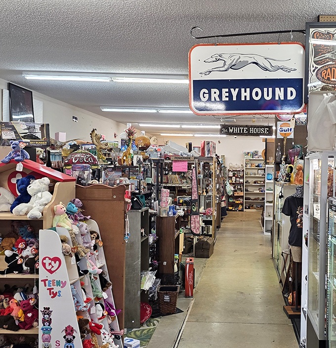 Down the rabbit hole you go! Each aisle promises treasures that would make your grandmother say, "I should've kept mine!"