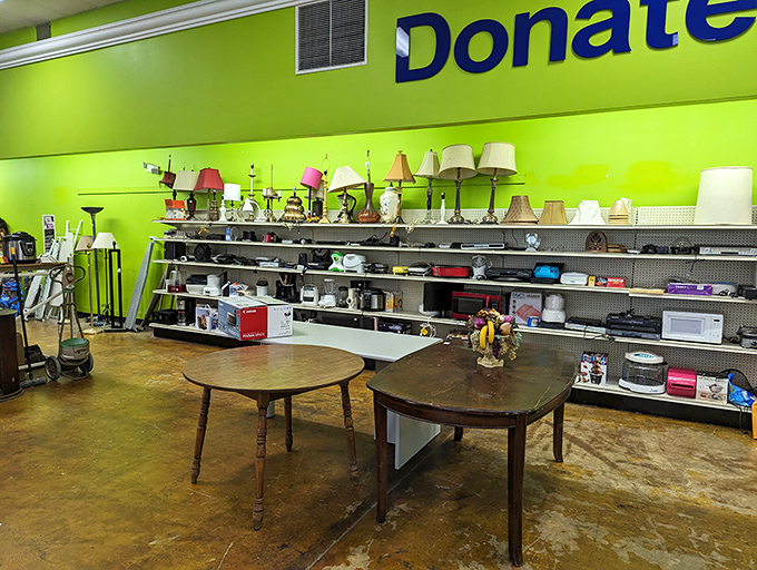 The home goods section&mdash;where vintage lamps and forgotten kitchen gadgets await their second act in someone's dinner party story.