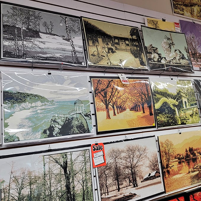 Scenic photography transforms blank walls into windows to other worlds, proving home decor doesn't require a mortgage.