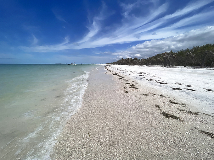 Pristine shoreline stretching toward forever. The kind of beach that makes you wonder why anyone bothered inventing office cubicles.