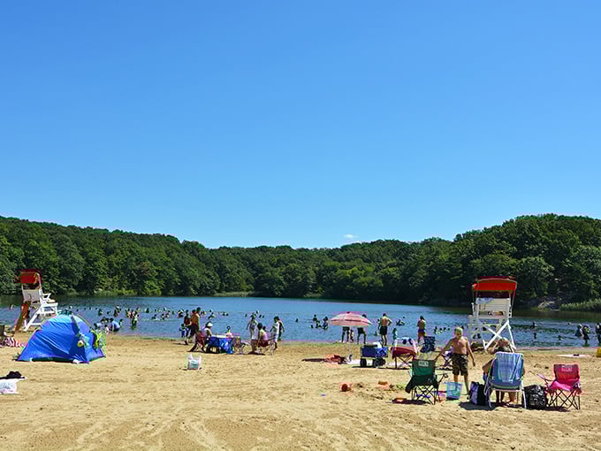 Summer at Cheesequake means beach days without beach traffic. The lake's sandy shores offer all the relaxation without any of the "which exit?" debates.
