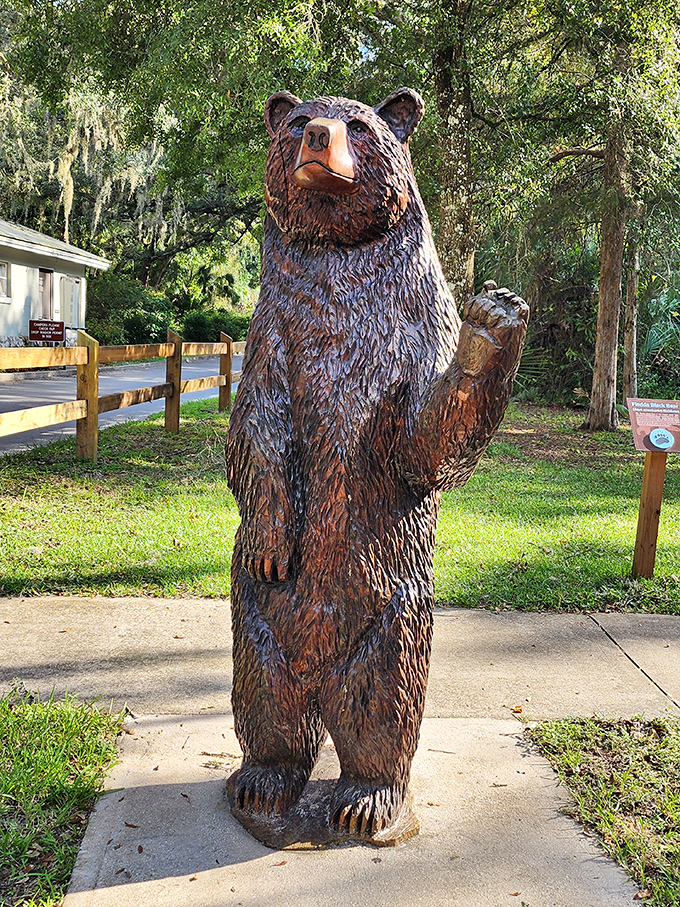 This wooden bear welcomes visitors with the enthusiasm of a park ranger who's had exactly the right amount of coffee.
