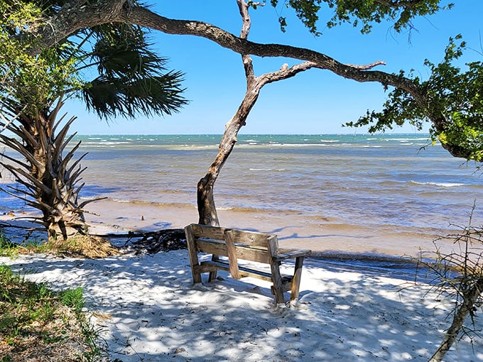 The world's most perfectly positioned bench invites contemplation. Sit here long enough and you might forget what deadlines even are.