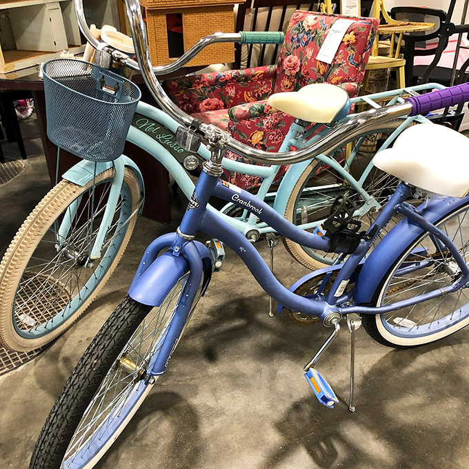 Vintage cruisers in baby blue and purple &ndash; these retro bikes aren't just transportation, they're time machines to carefree childhood summers.