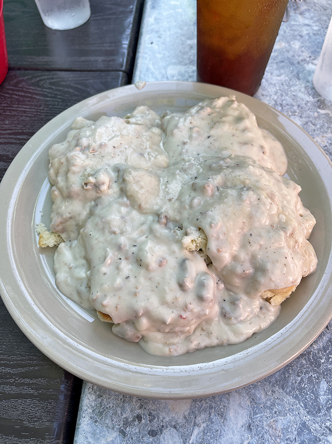 Biscuits and gravy so generously portioned you'll need a snorkel to find the biscuits beneath this creamy, peppery ocean of goodness.