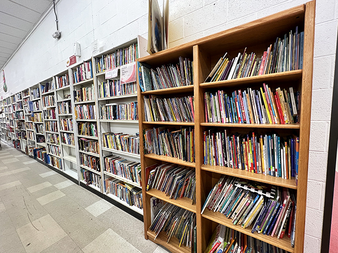 The book section rivals some small-town libraries. Each spine tells two stories: the one printed inside and the journey that brought it here. 