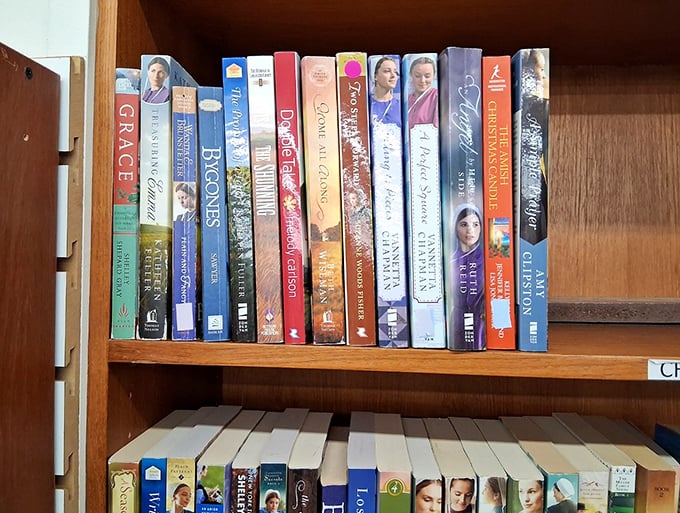 A literary treasure trove awaits the patient browser. Someone's abandoned romance novels could become your rainy day companions.