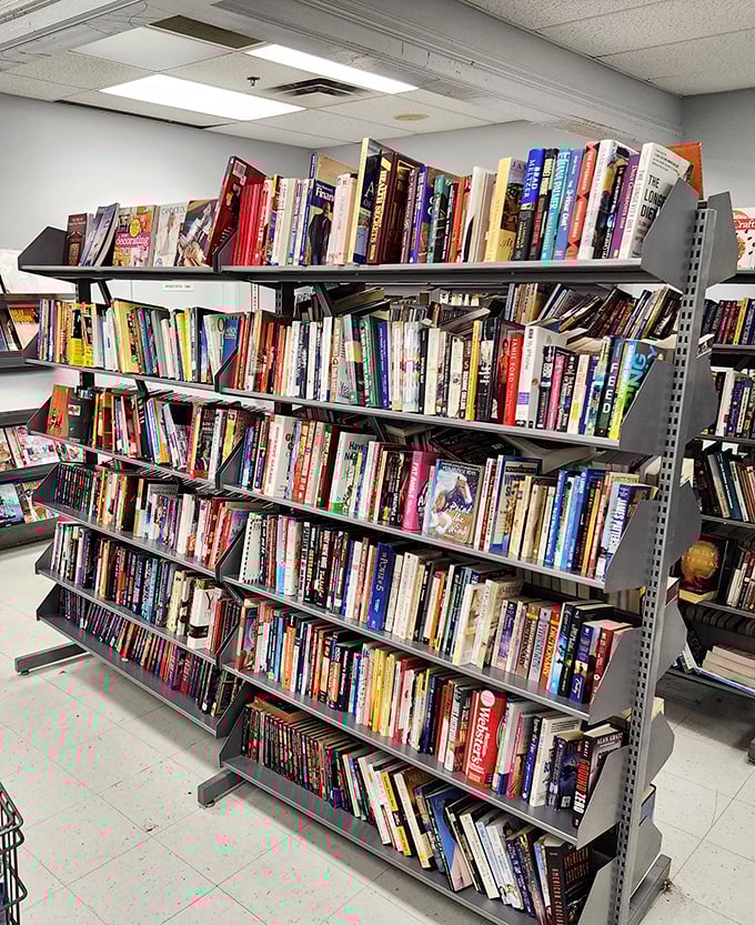 A toy wonderland where childhood memories mingle with tomorrow's garage sale treasures in perfect retail harmony.