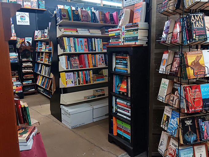 Literary paradise! Bookworms can lose themselves in these well-stocked shelves where forgotten bestsellers and hidden gems await new readers.