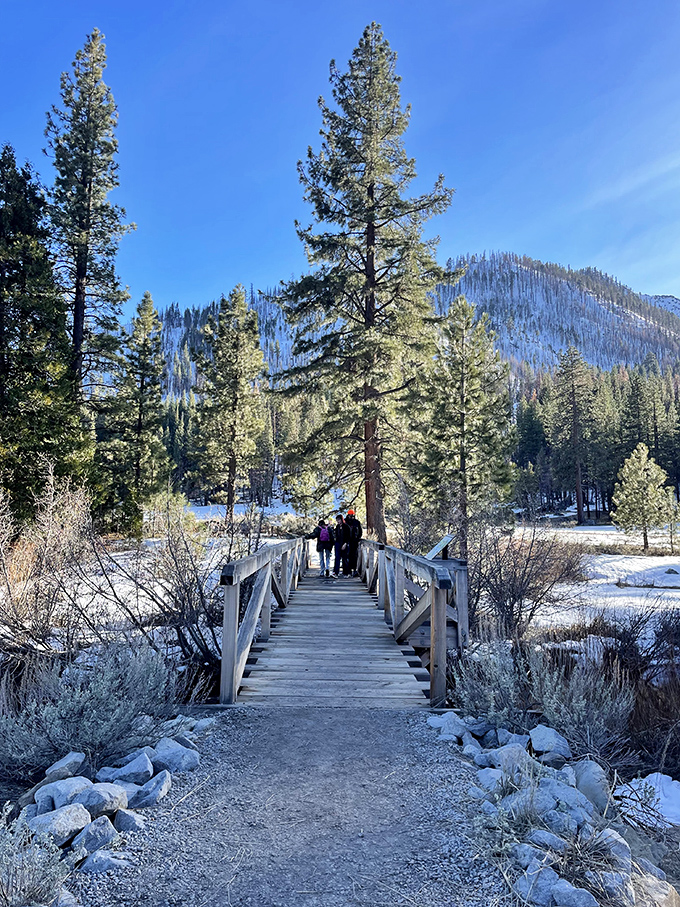 Winter's wooden pathway to wilderness wonders. The bridge invites adventure-seekers into a snow-dusted landscape that Instagram filters couldn't improve upon.